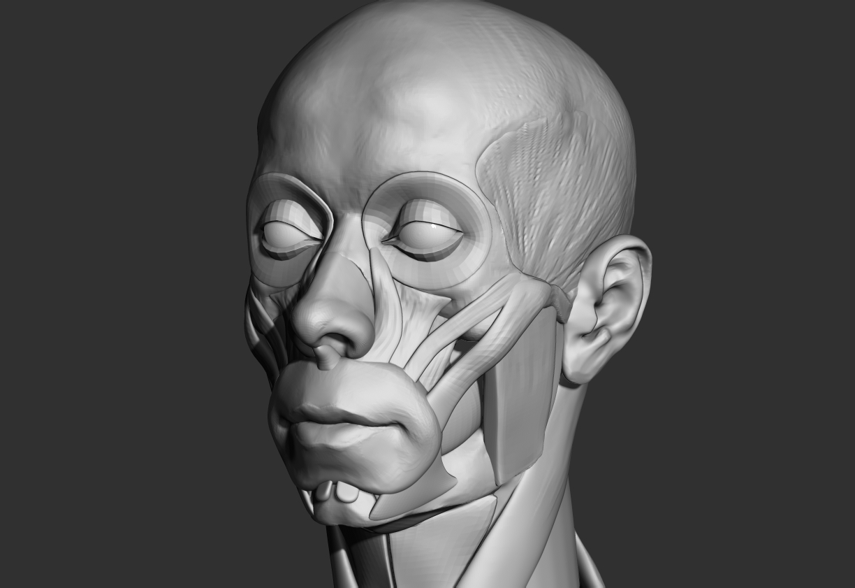 This is Jonas Schneider — Écorché